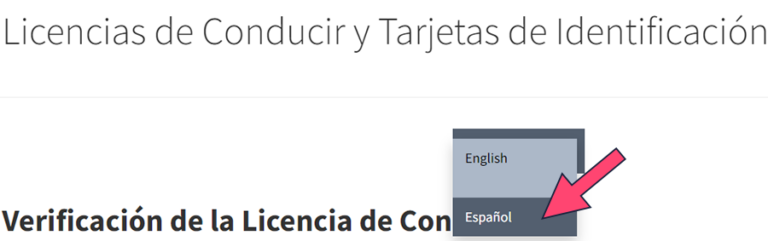Cómo sacar la licencia de manejo en Miami (FL) | 2025